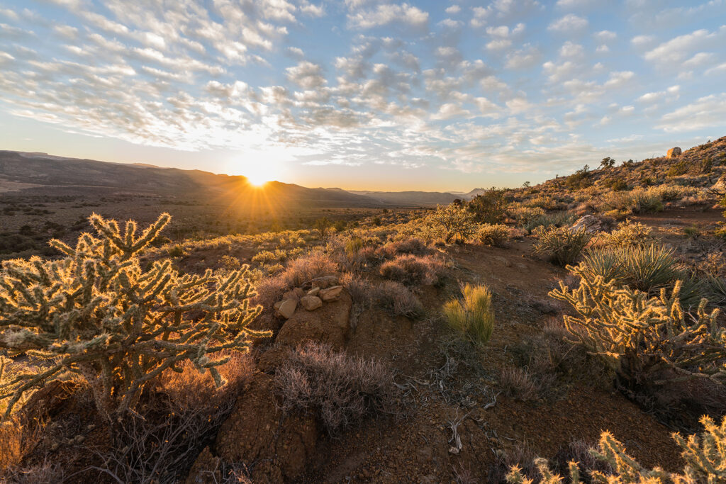 Home - Reno Engineering Corporation